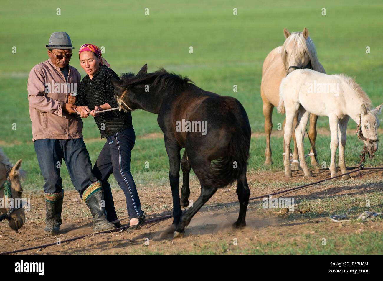 Effortful control hi-res stock photography and images - Alamy