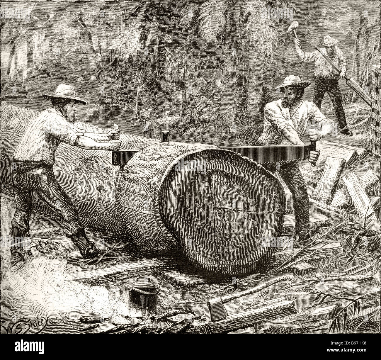 19th century logging hi-res stock photography and images - Alamy