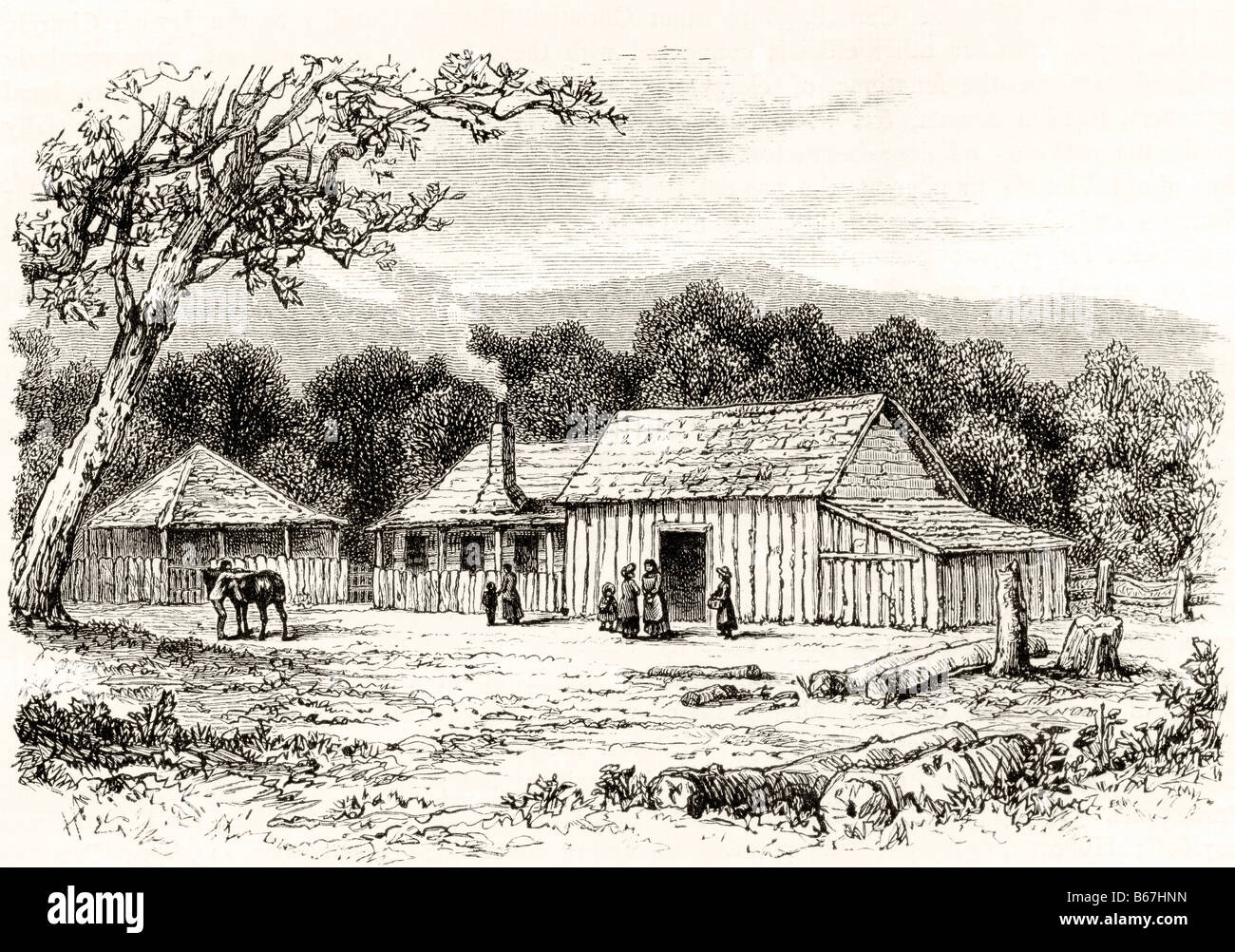 A Squatter's Sation in Australia, circa 1880 Stock Photo - Alamy