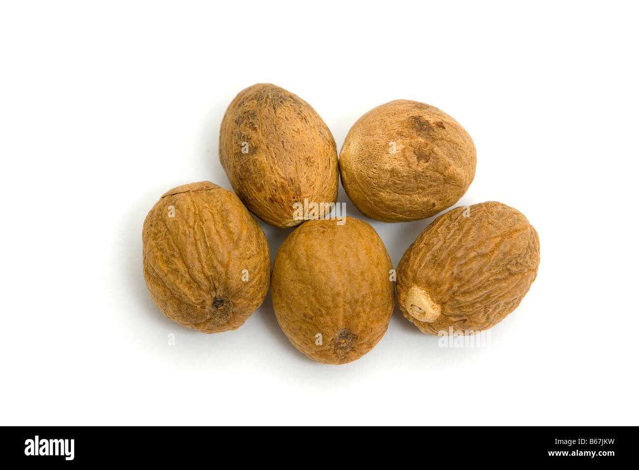 Muskatnuss myristica fragrans hi-res stock photography and images - Alamy