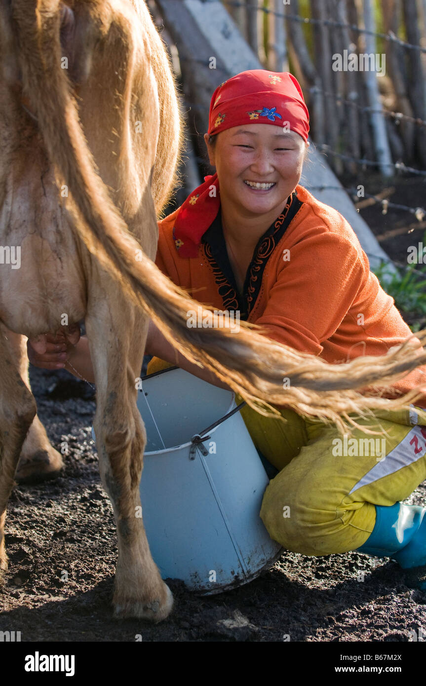 Mongolian Cattle