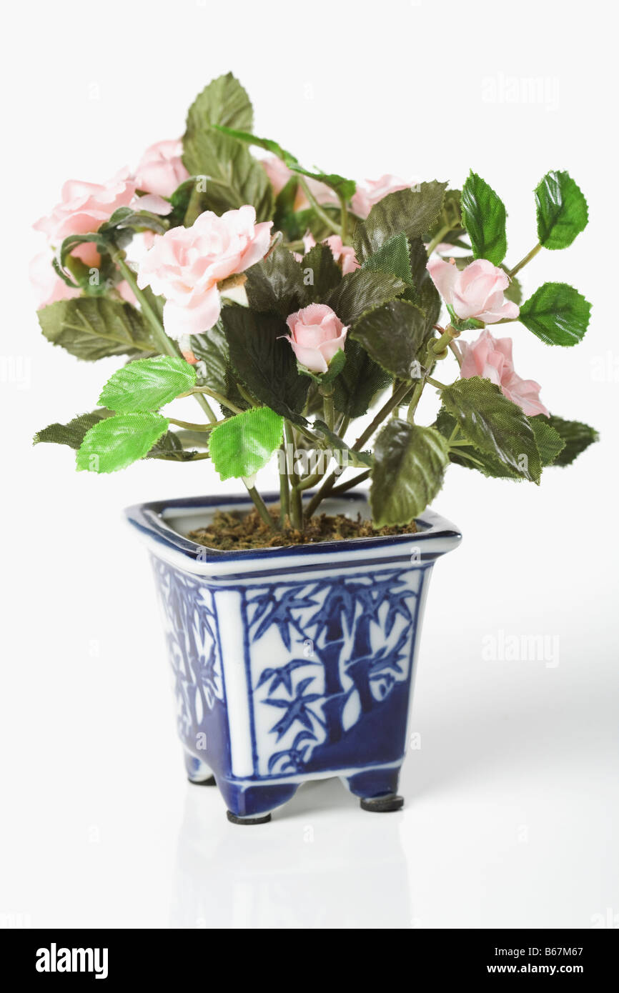 Potted plant art hi-res stock photography and images - Alamy