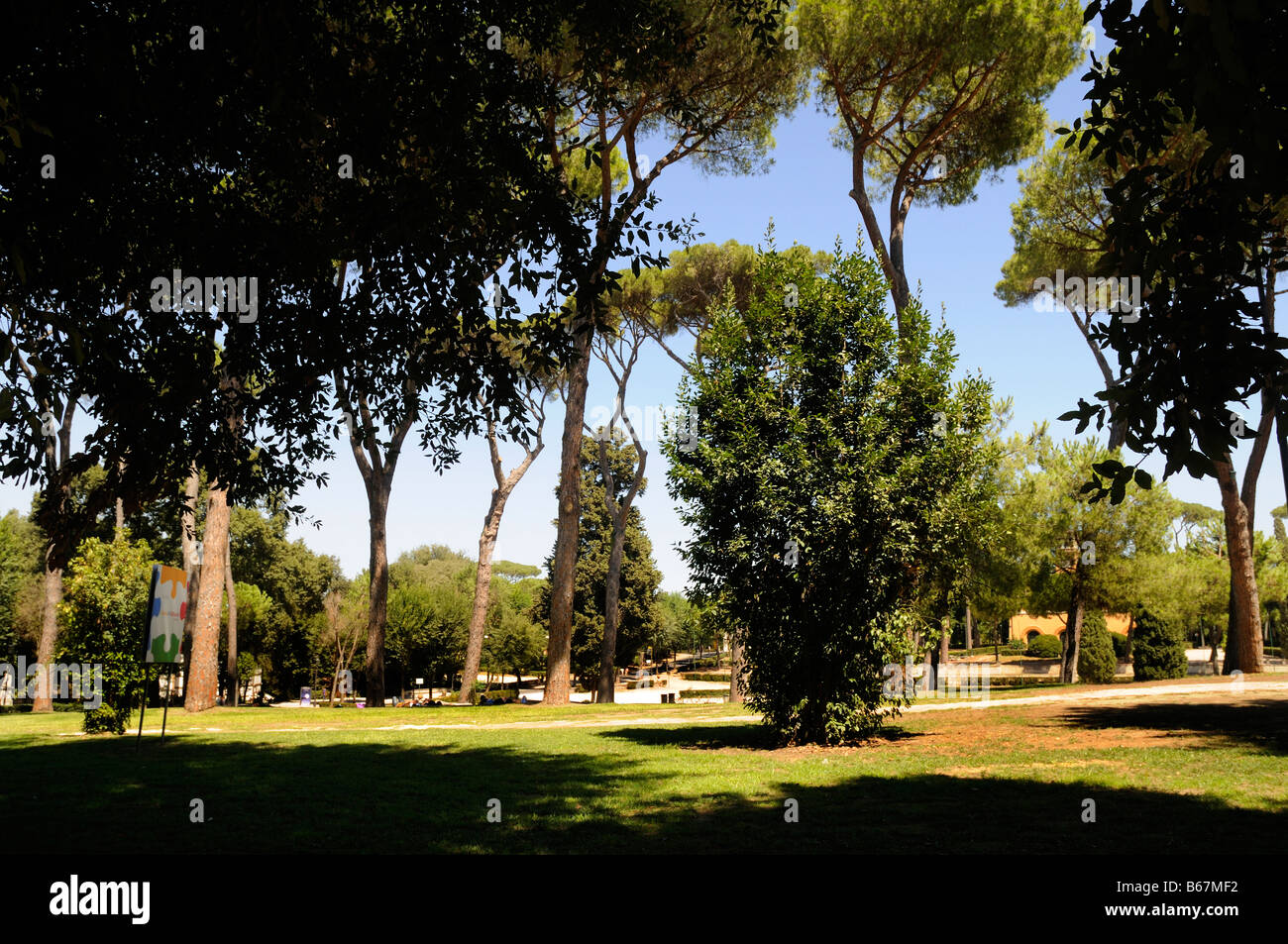 The Pines of Rome in the Borghese Gardens in Rome Italy which inspired ...