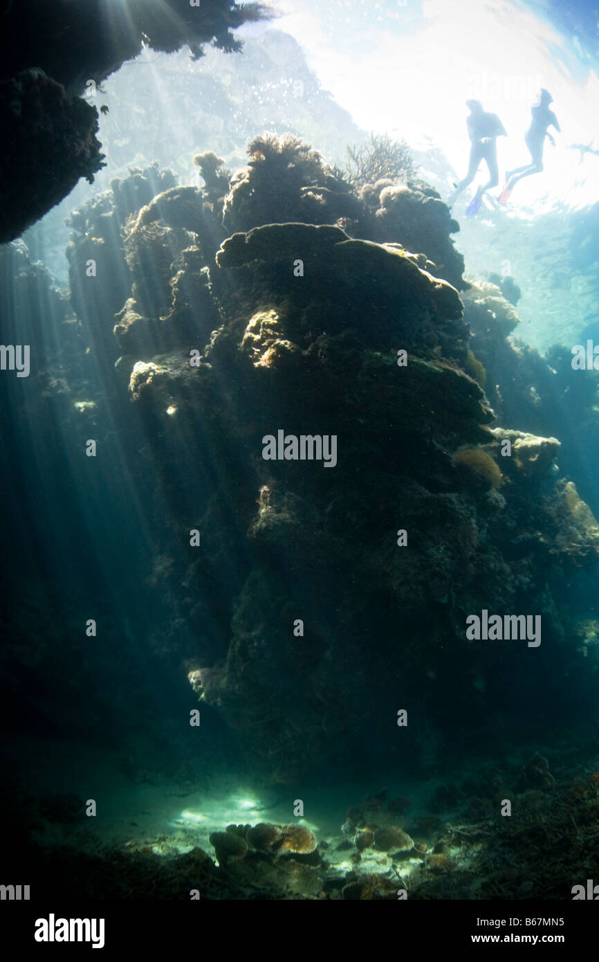 Dive misool hi-res stock photography and images - Alamy