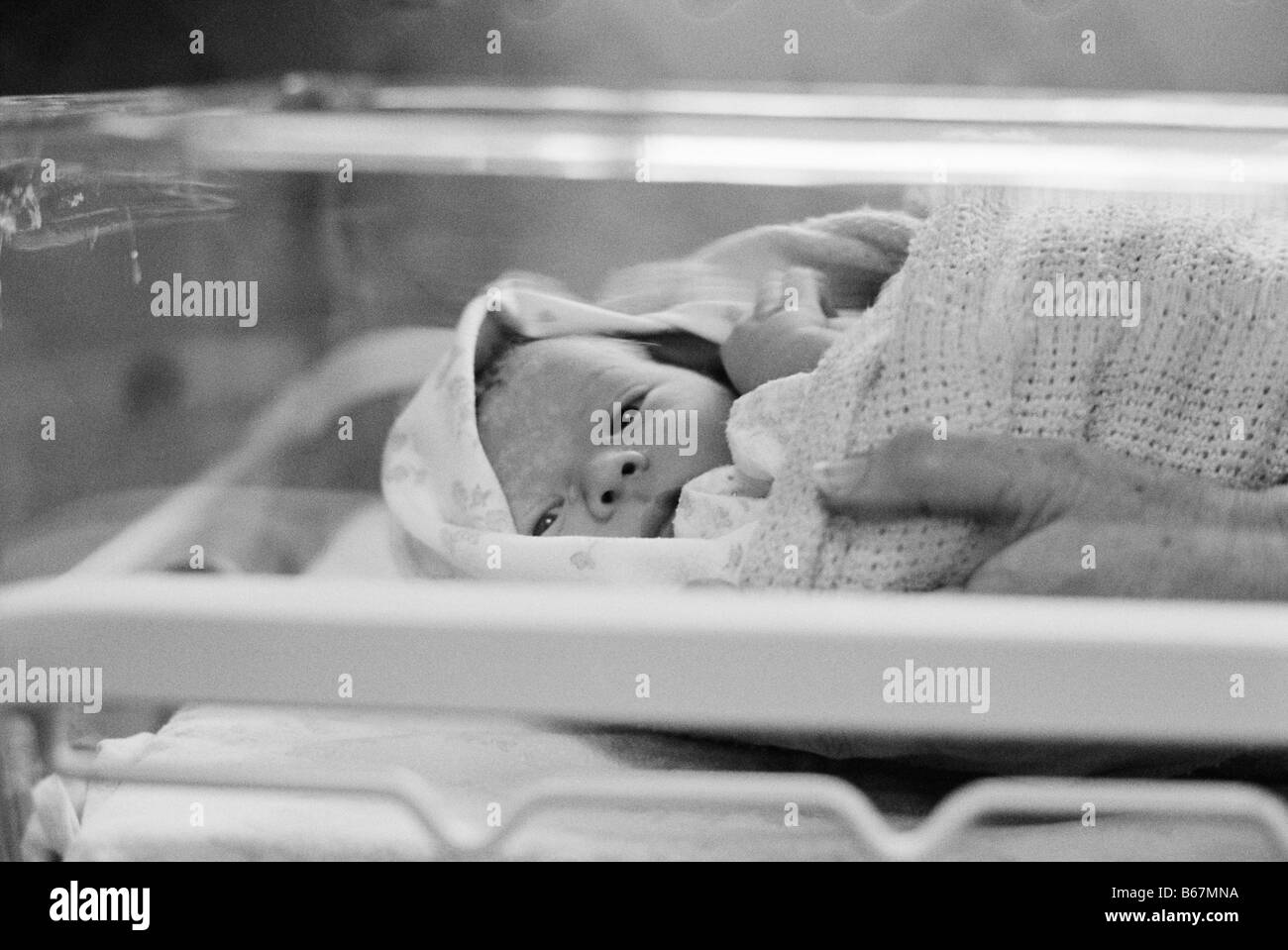 Newborn boy in hospital incubator Stock Photo - Alamy