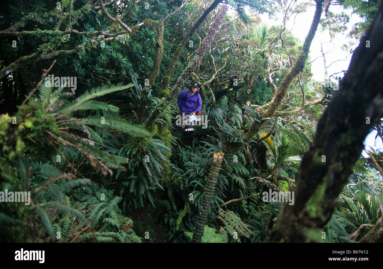 Dwarfed man hi-res stock photography and images - Alamy