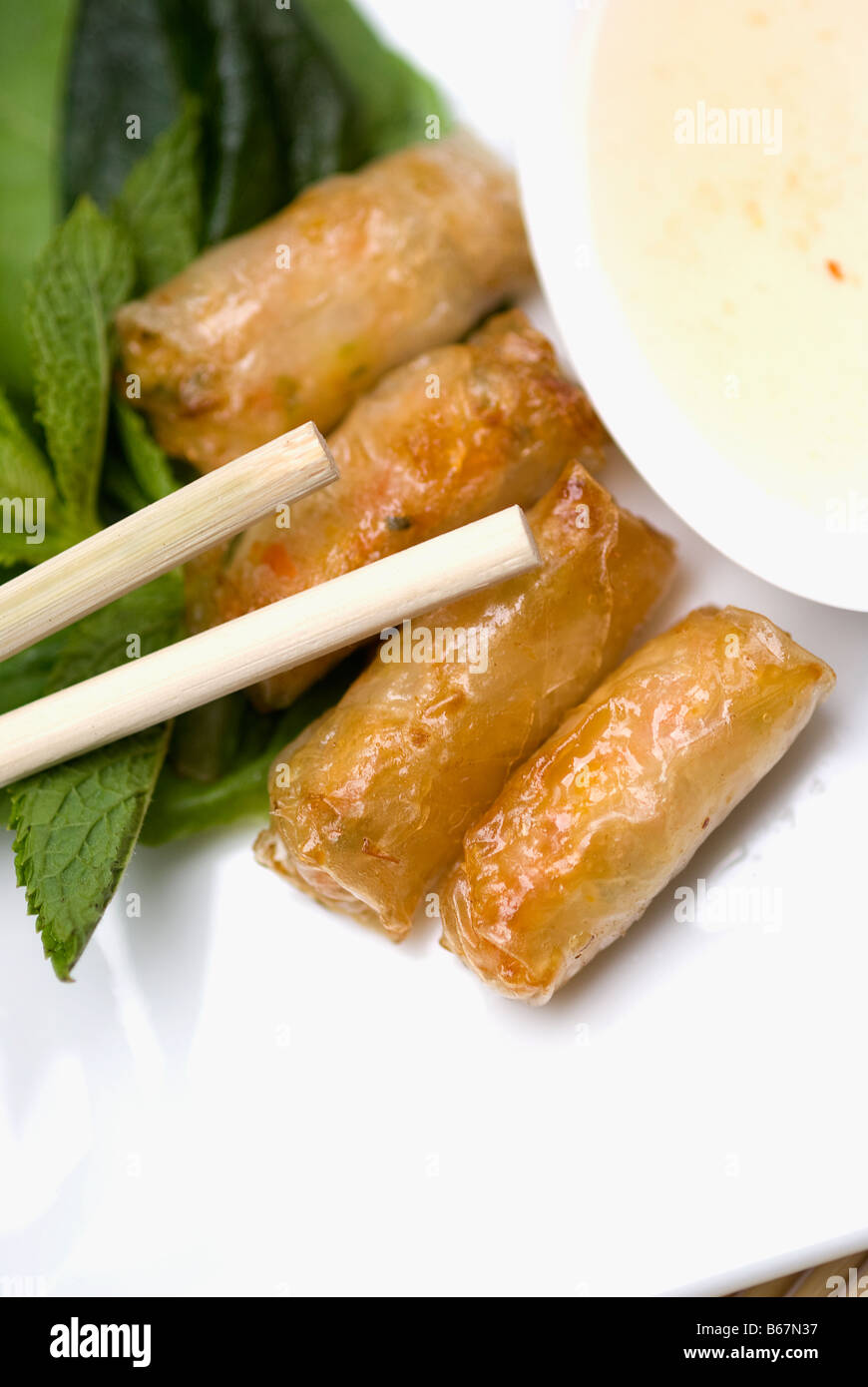 Spring rolls detail hi-res stock photography and images - Alamy
