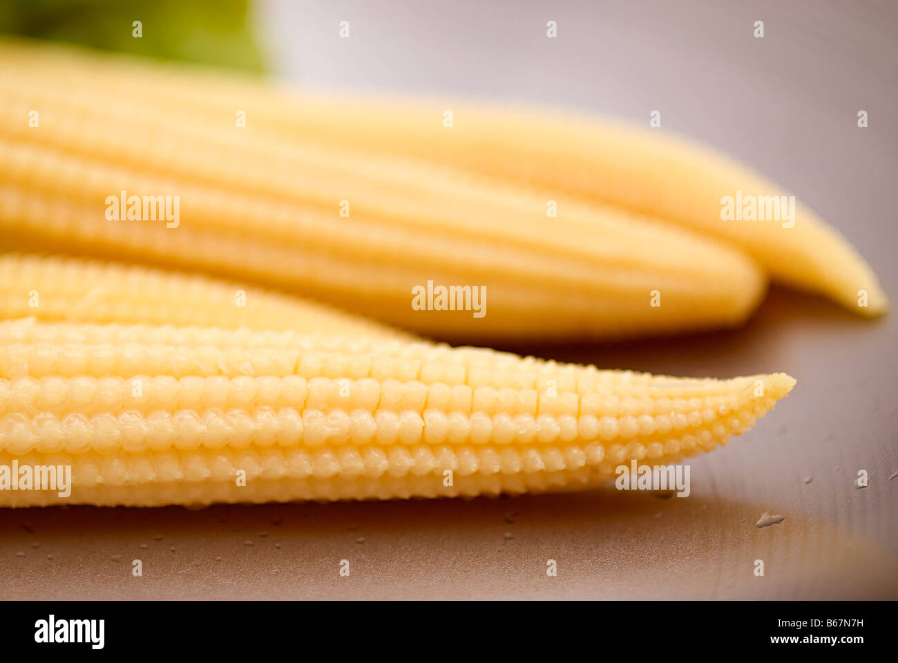 Close-up of corn cobs Stock Photo - Alamy