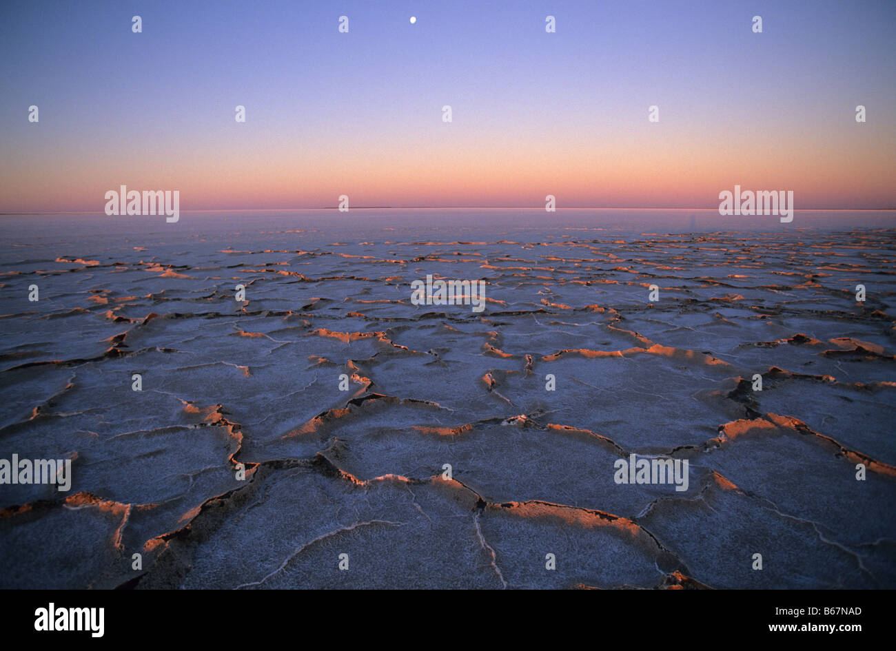 Salt crust on the southern point of Lake Eyre, South Australia ...