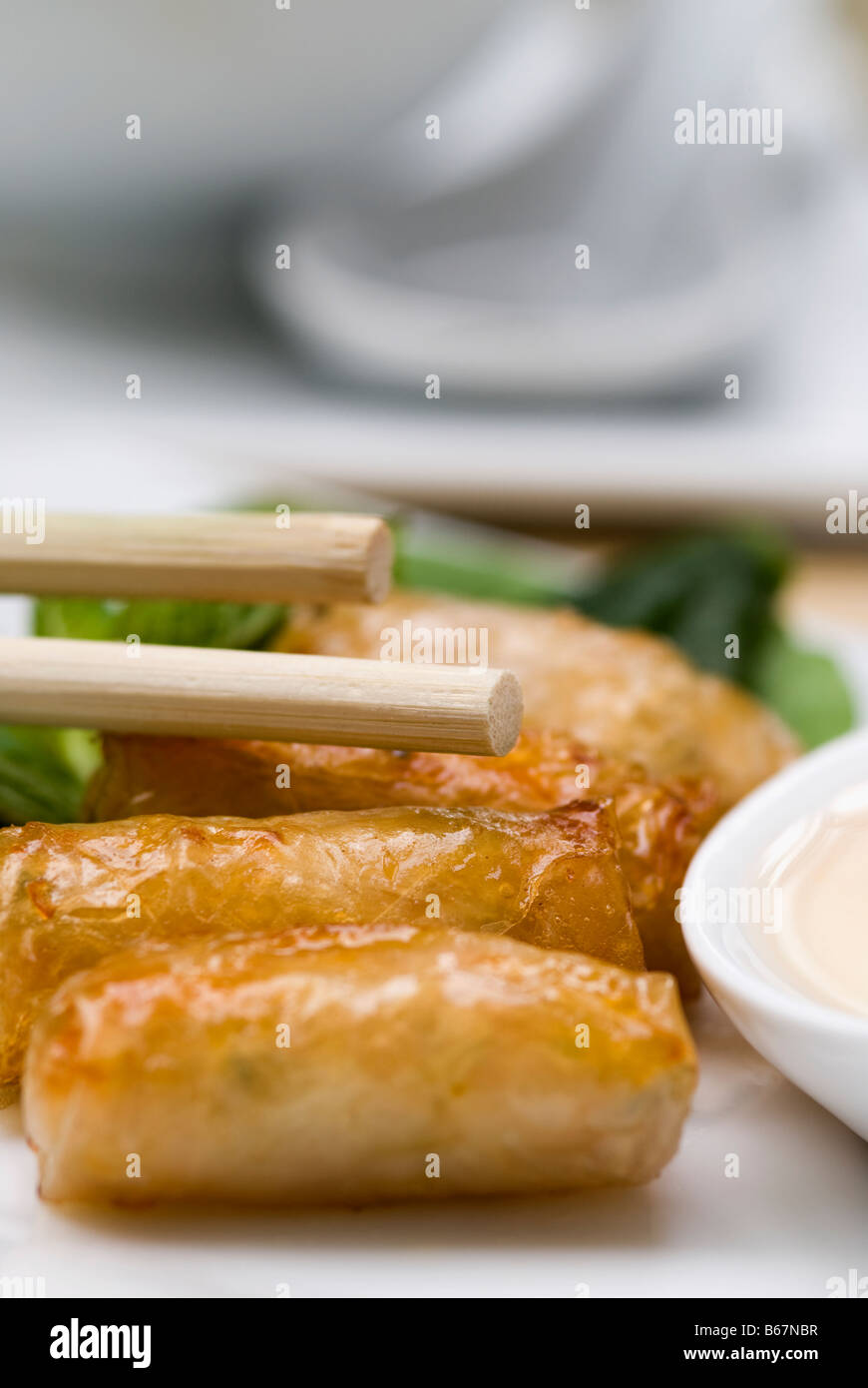 Spring rolls and chopsticks hi-res stock photography and images - Alamy