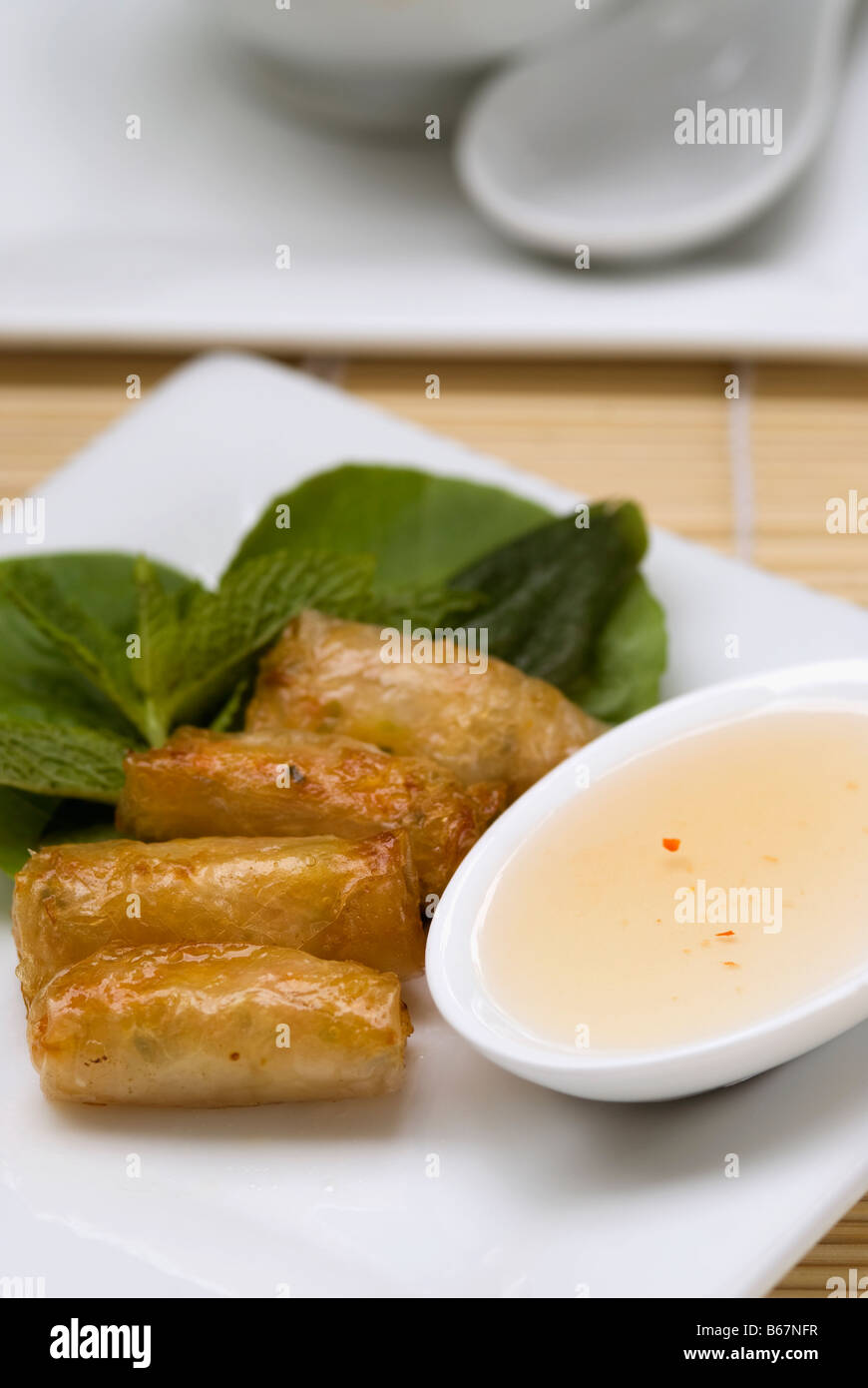 Spring roll presentation hi-res stock photography and images - Alamy
