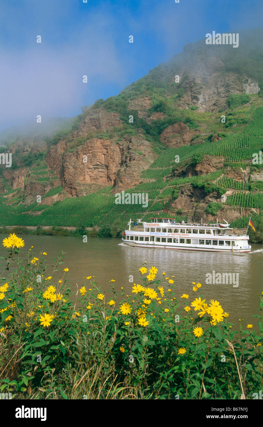 Mosel saar ruwer hi-res stock photography and images - Alamy