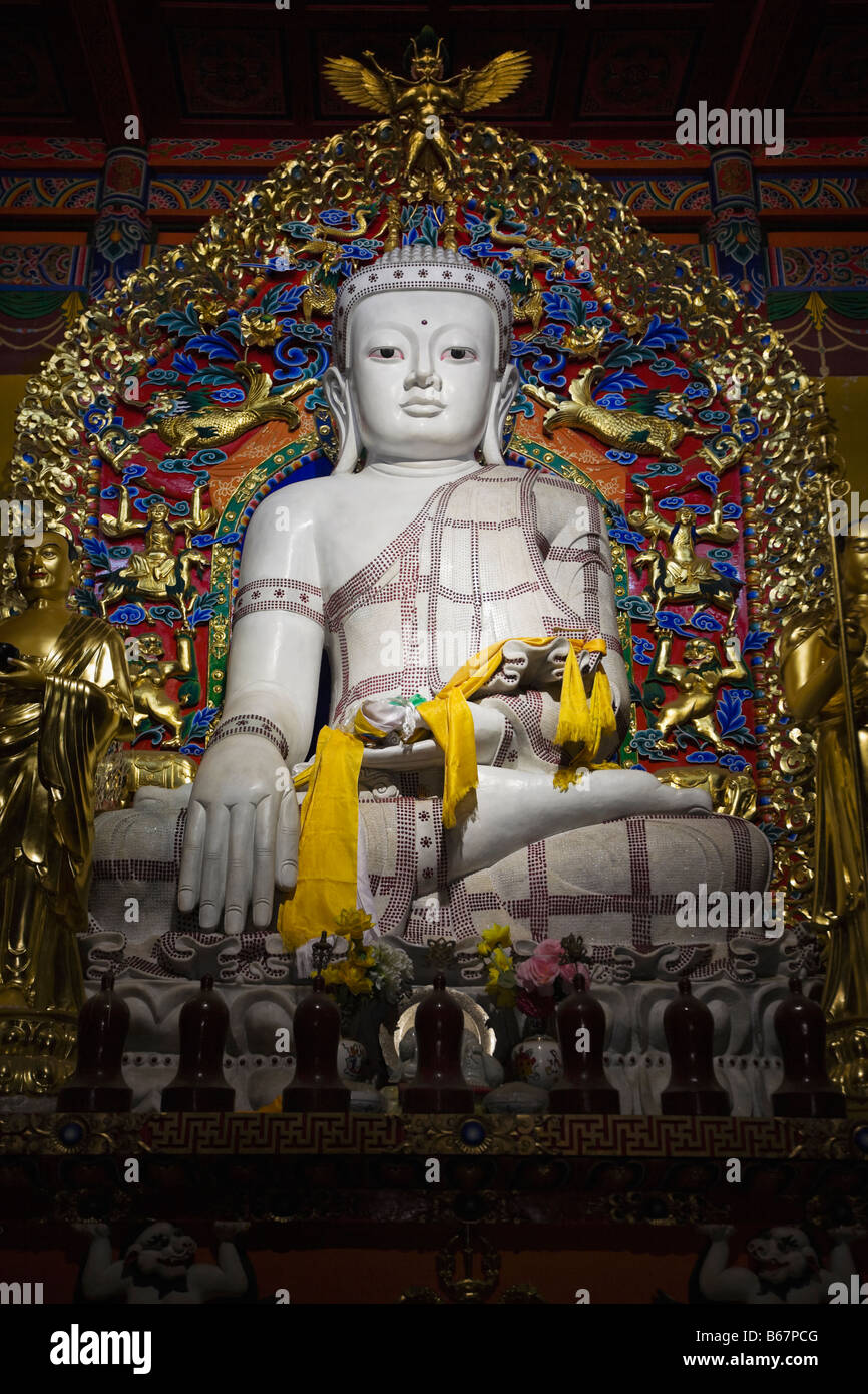 Low angle view of a statue of Buddha, Da Zhao Temple, Hohhot, Inner ...