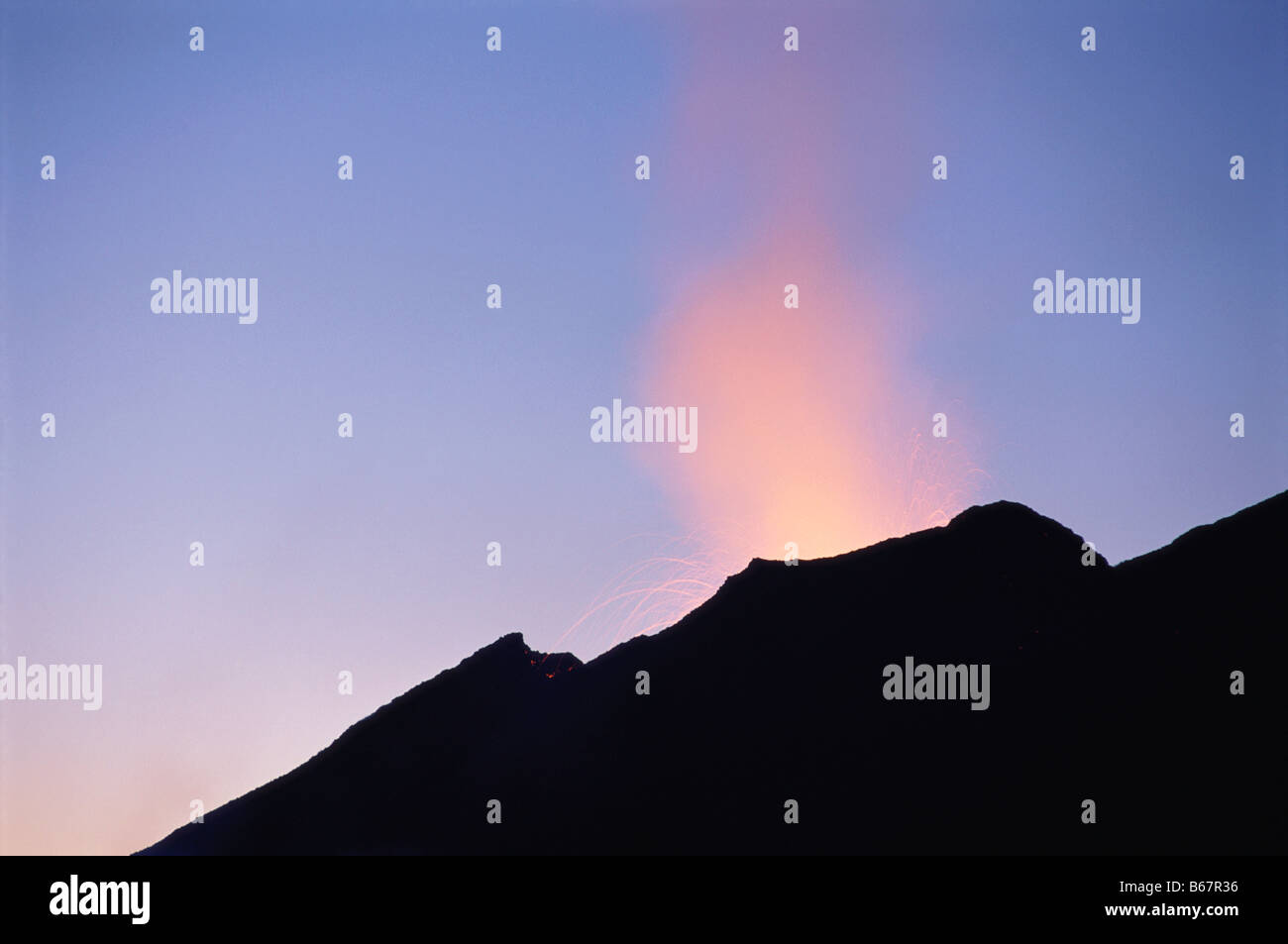 Pitur hi-res stock photography and images - Alamy