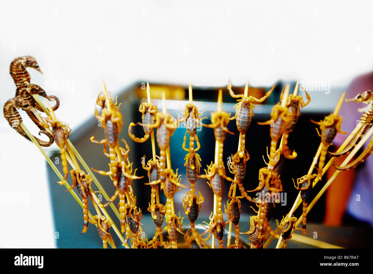 Scorpion snacks in a restaurant, Wangfujing, Dongcheng District ...