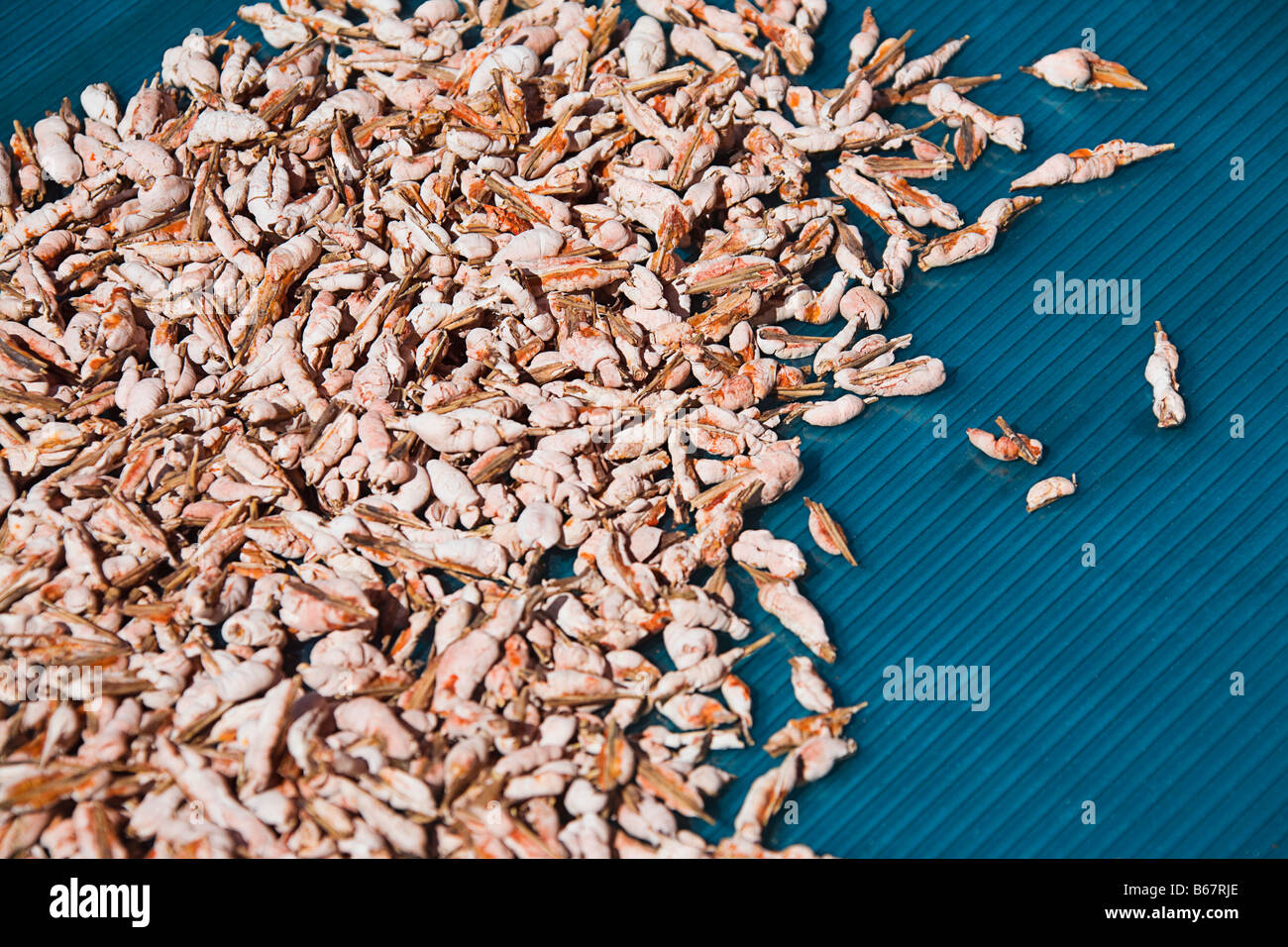 Anhui Food China High Resolution Stock Photography and Images - Alamy