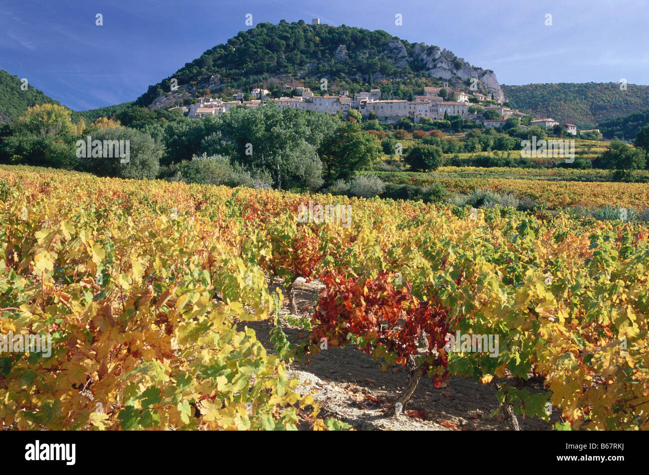 Vineyards with mountain village in the background, Seguret, Dentelles ...