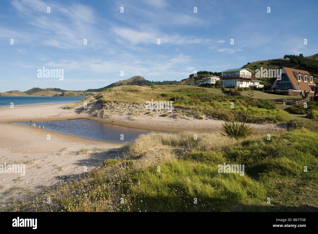 Opito Beach, Opito, Coromandel Peninsula, North Island, New Zealand ...