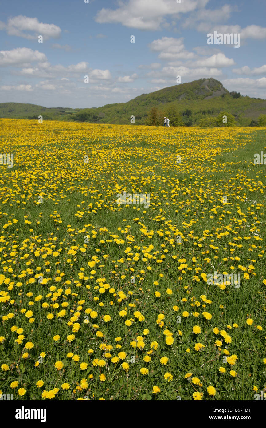 Spring Meadow and Hikers and Milseburg Mountain, Near Wasserkuppe ...