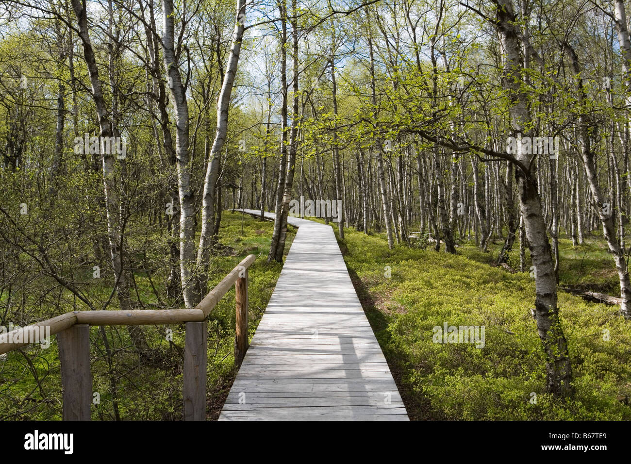 Red moor rhoen hesse germany hi-res stock photography and images - Alamy
