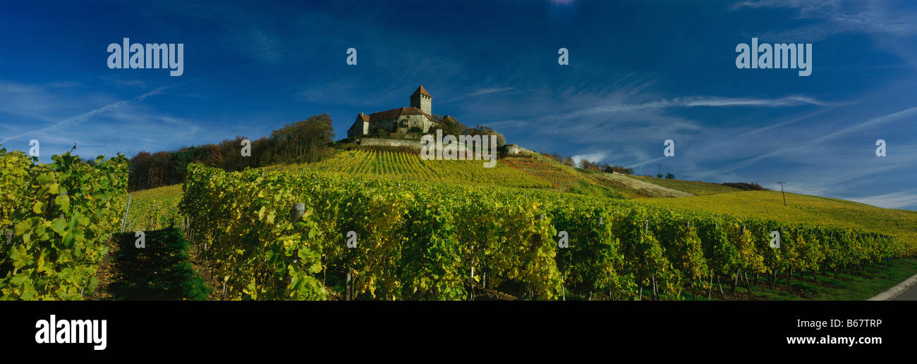 Castle Lichtenberg with vineyards, Oberstenfeld, Baden-Wuerttemberg ...
