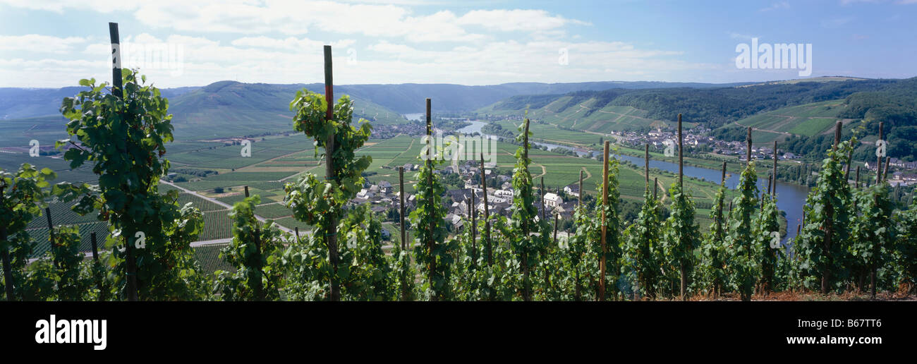 Mosel saar hi-res stock photography and images - Alamy