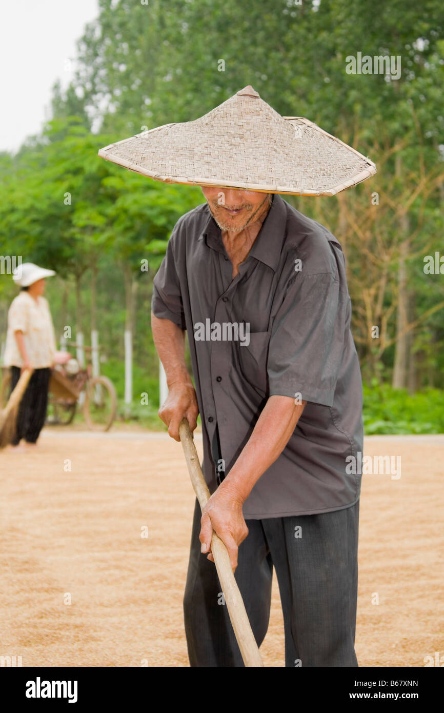 Farmer turning grain in a field, Zhigou, Shandong Province, China Stock ...
