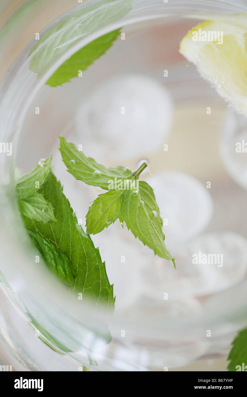 Water with lemon, mint and ice Stock Photo - Alamy