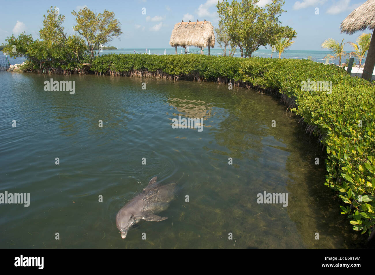 Marathon Dolphin Sanctuary, Marathon, Monroe County, Florida Keys ...