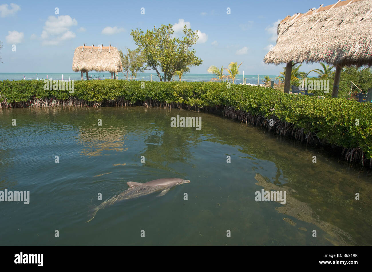 Marathon Dolphin Sanctuary, Marathon, Monroe County, Florida Keys ...