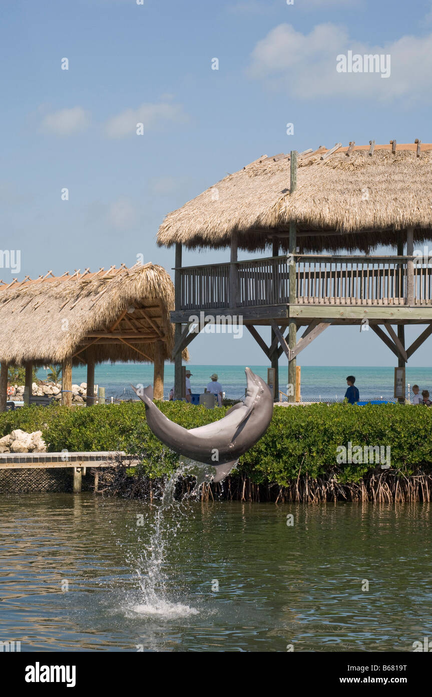 Marathon Dolphin Sanctuary, Marathon, Monroe County, Florida Keys ...