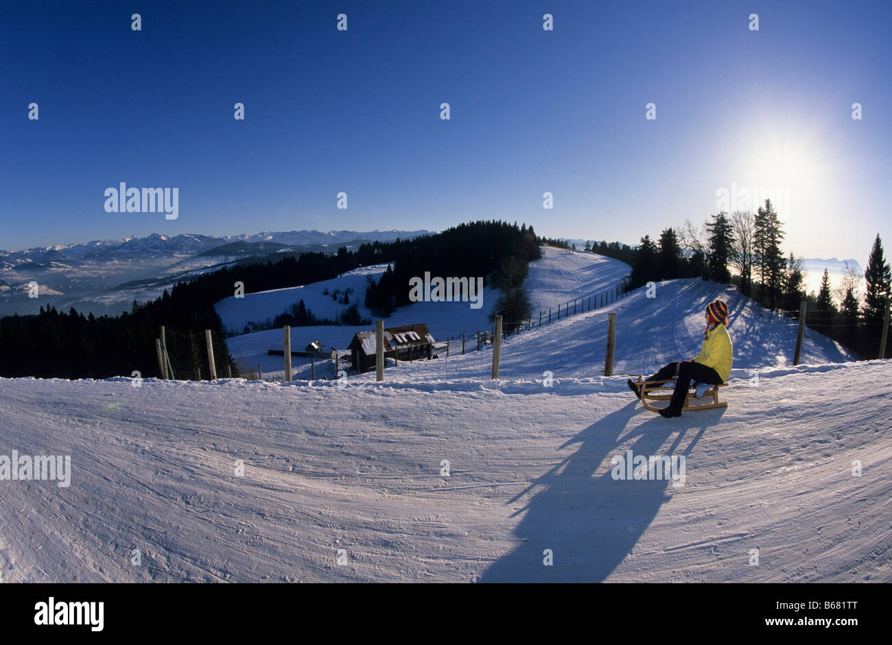 sledging at Pfaender, Vorarlberg, Austria Stock Photo - Alamy