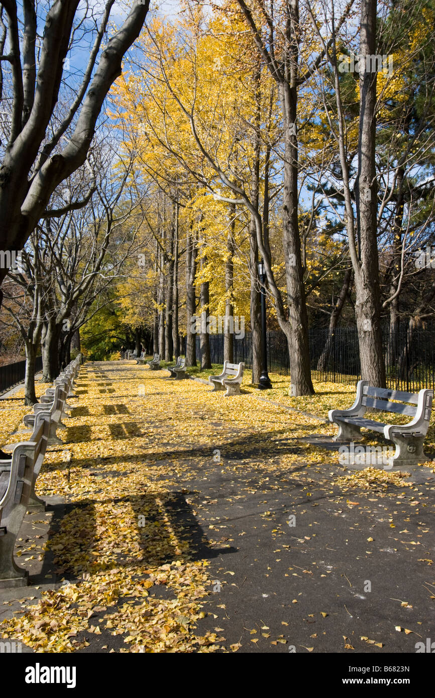 An empty path is seen below colorful trees in a park in New York Stock ...