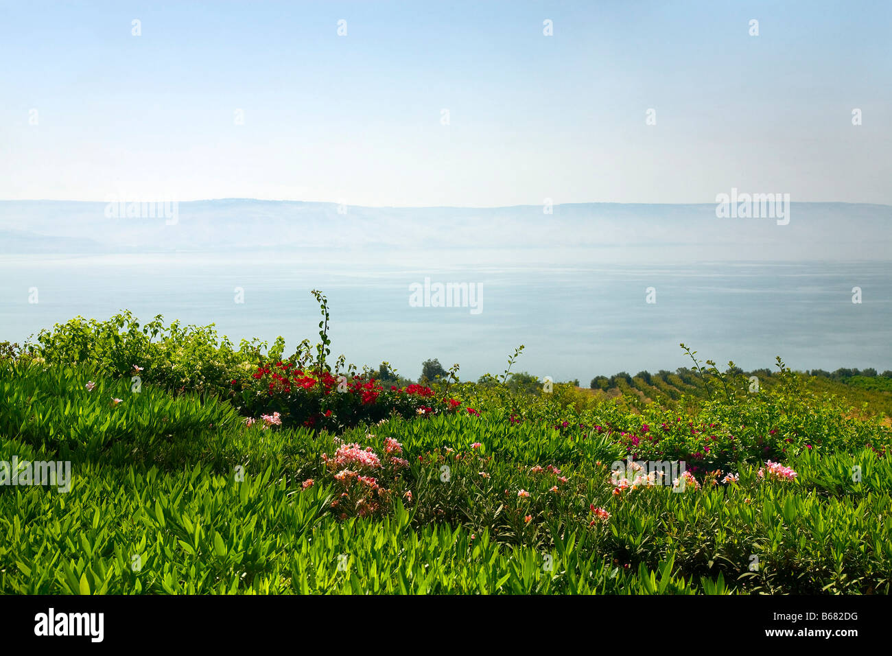 Sea of Galilee, Lake Tiberias, Israel Stock Photo - Alamy