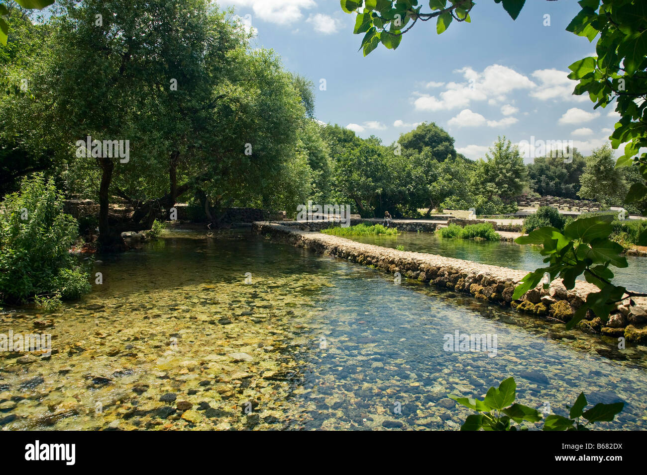 Banias, Jordan River, Golan Heights, Israel Stock Photo - Alamy