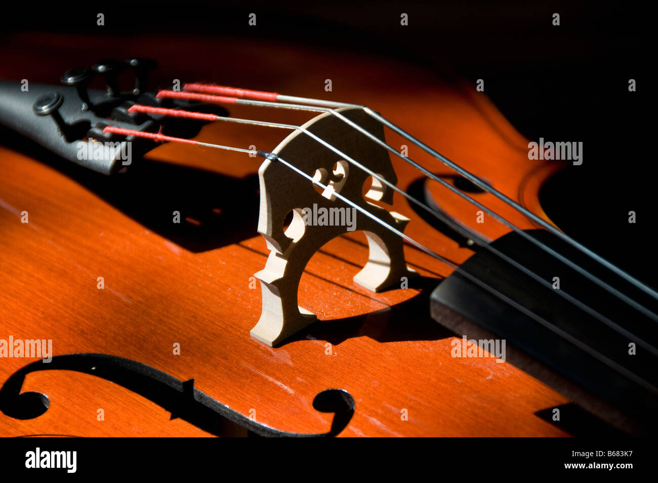 Close-Up of Violin Stock Photo - Alamy