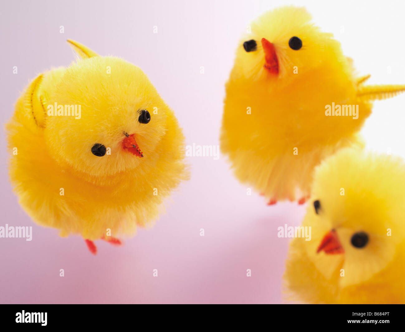 Three Easter Chicks Stock Photo - Alamy