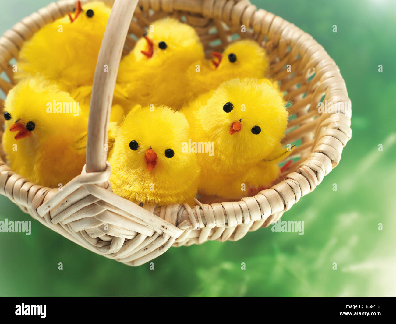 Chicks in basket hi-res stock photography and images - Alamy