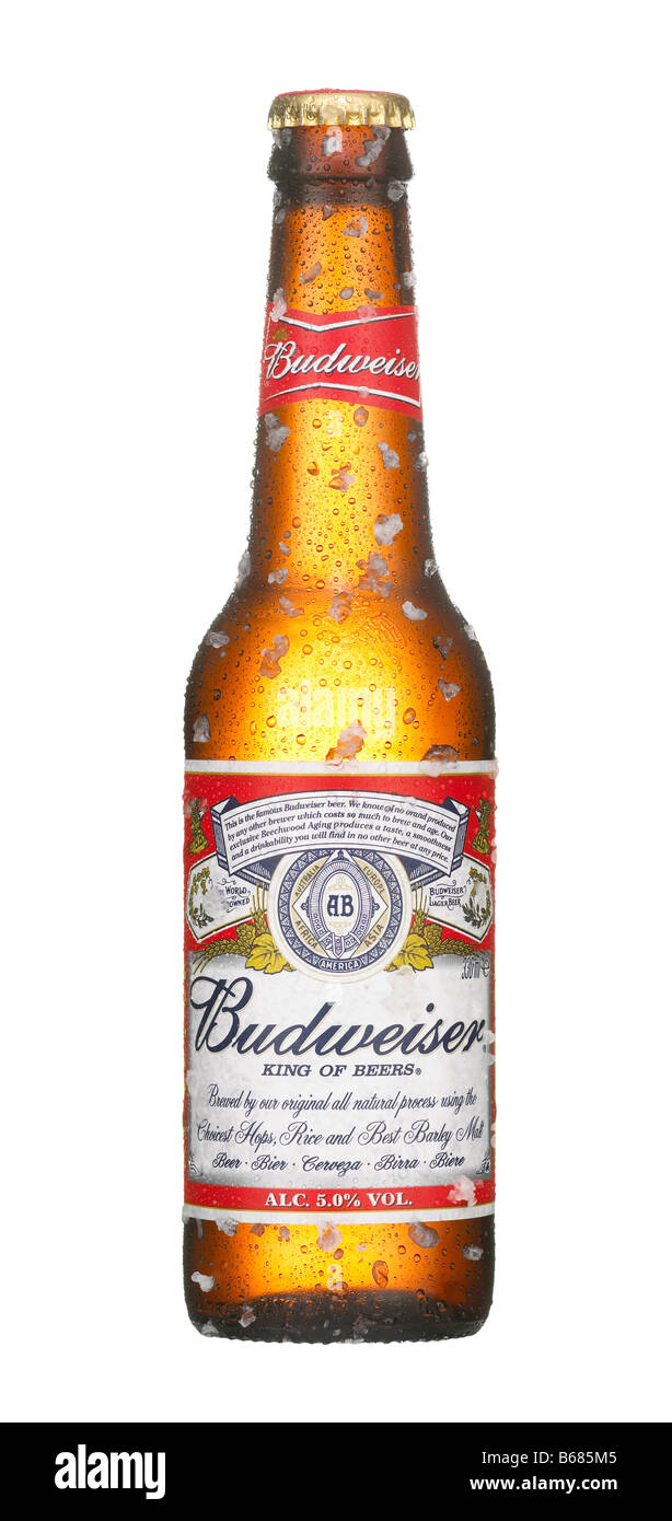 Budweiser Beer Bottle