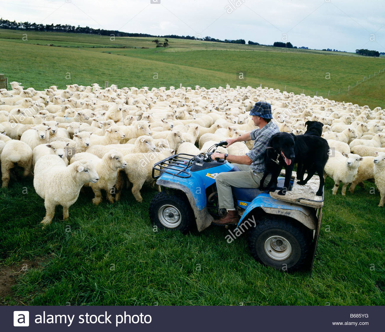 Farm Quad High Resolution Stock Photography and Images - Alamy