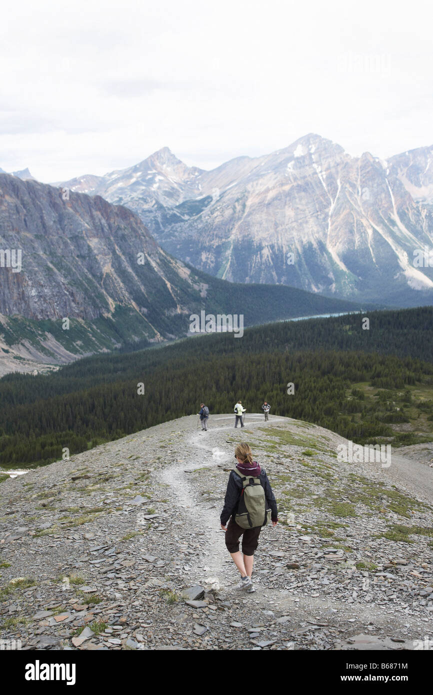 Edith cavell meadows trail hi-res stock photography and images - Alamy