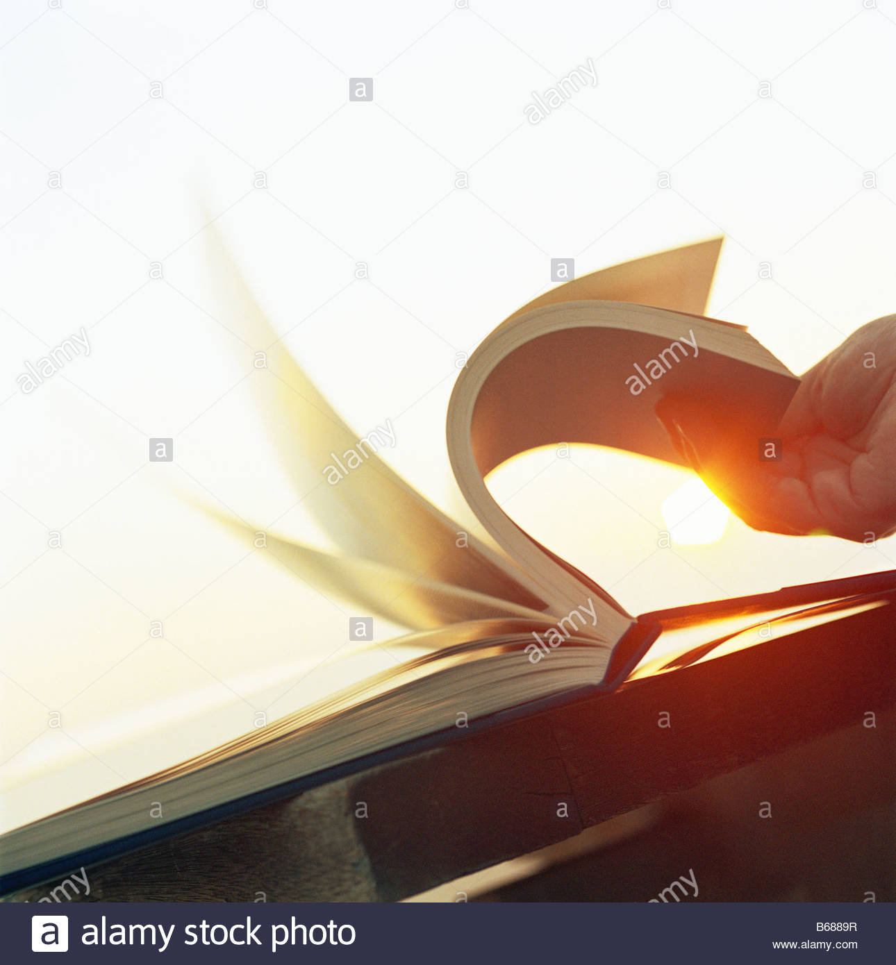 Flicking High Resolution Stock Photography and Images - Alamy