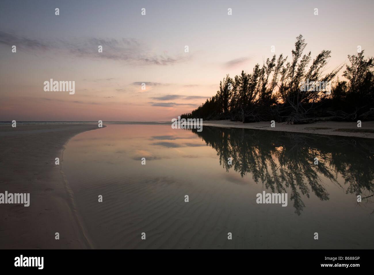 Bahamas Grand Bahama Island Lucaya National Park Setting sun ...