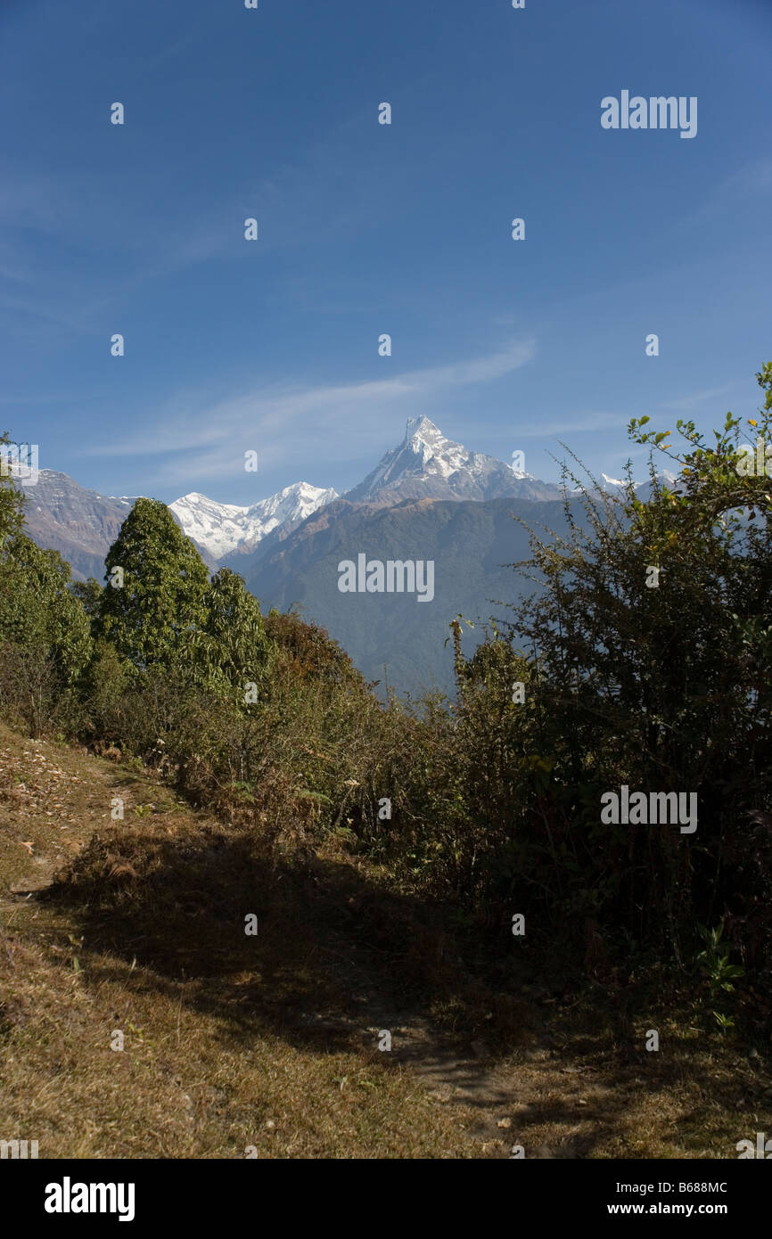 Fishtail Mountain from above Ghandruk village in the Annapurna range ...