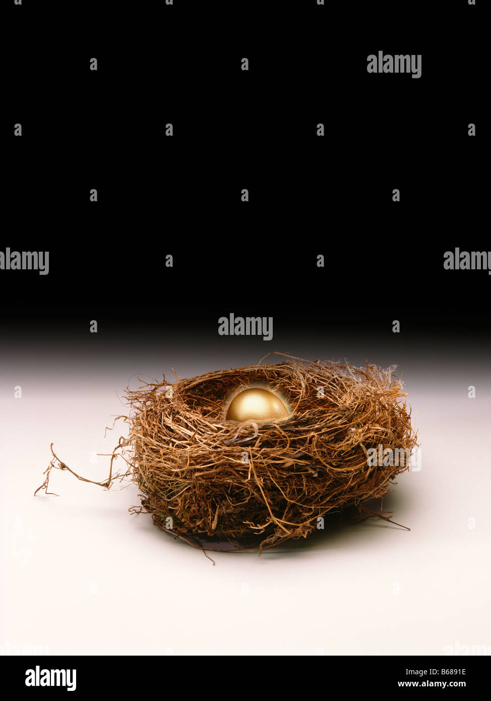 Golden egg in bird’s nest on graduated background Stock Photo - Alamy