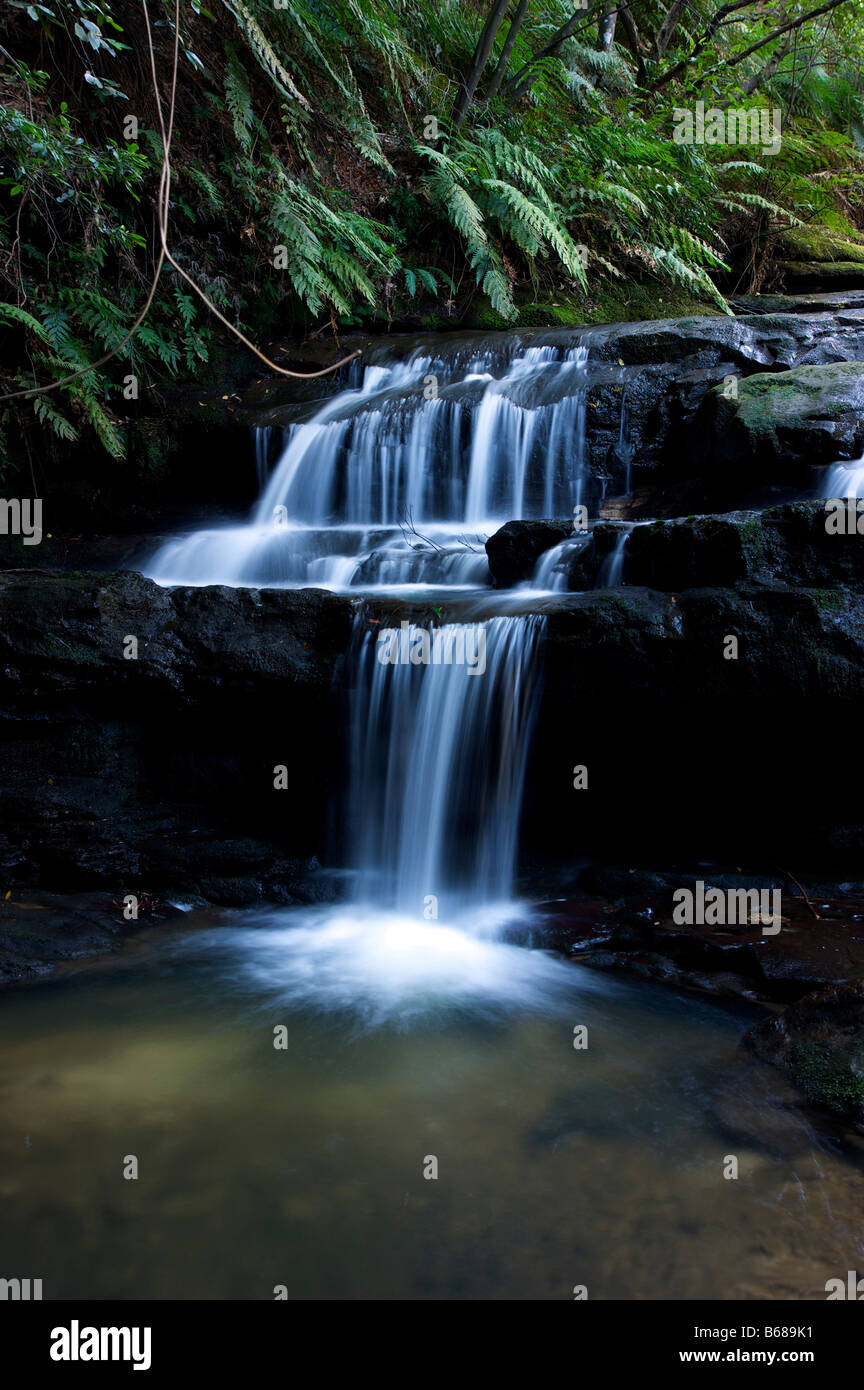 Falling Stream in the Blue Mountains Stock Photo - Alamy