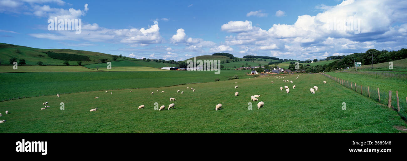 Scottish Borders and Cheviot Hills, Scotland, UK Stock Photo - Alamy