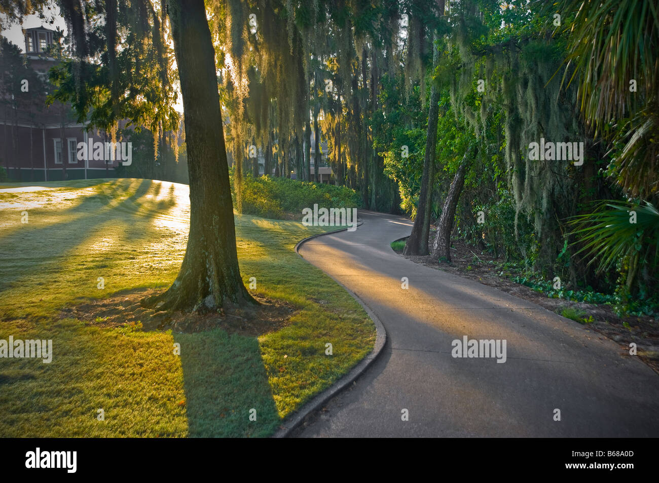Path moss hi-res stock photography and images - Alamy