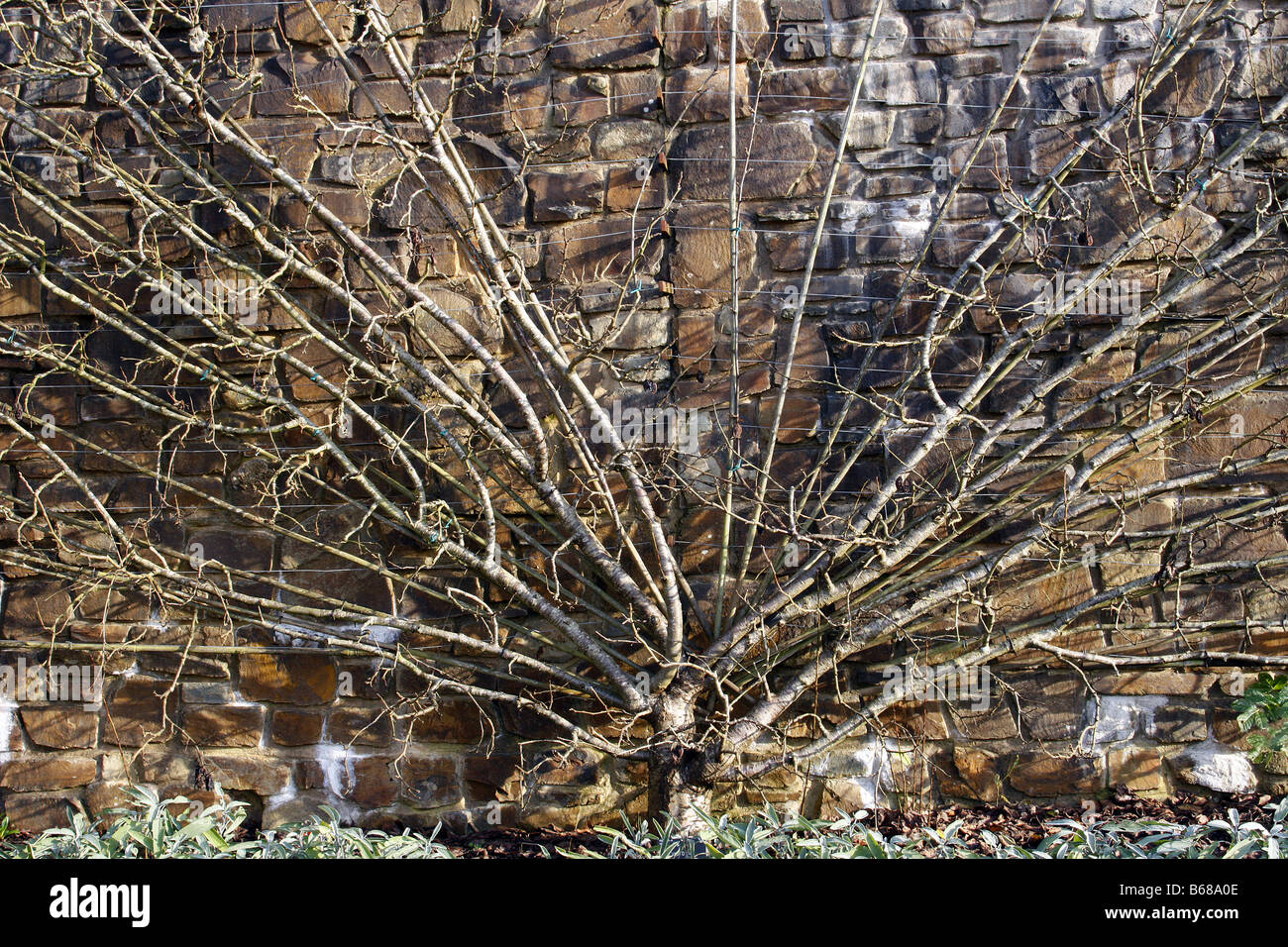 Fan trained hi-res stock photography and images - Alamy