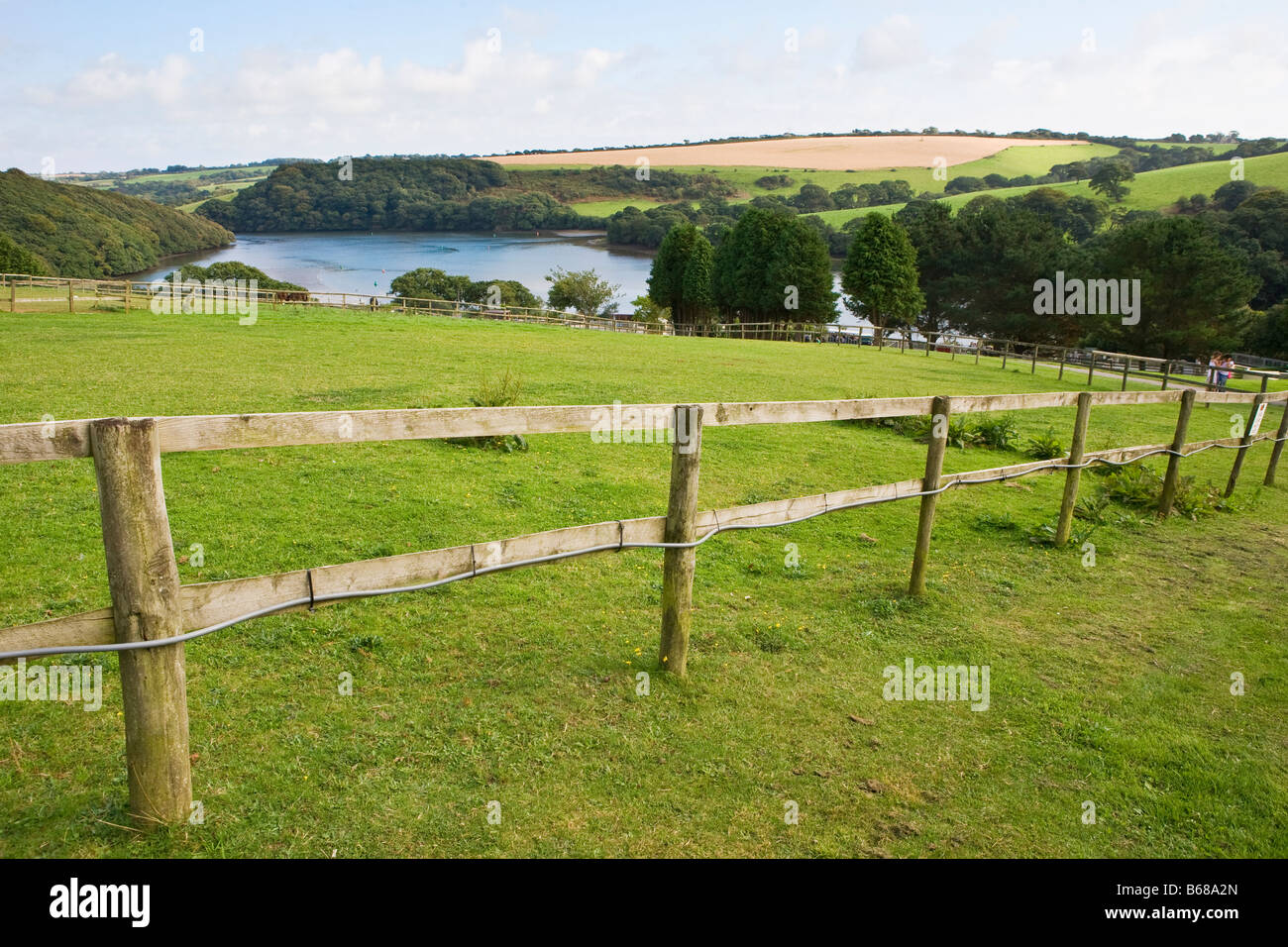 Cornwall Countryside Woods High Resolution Stock Photography and Images ...